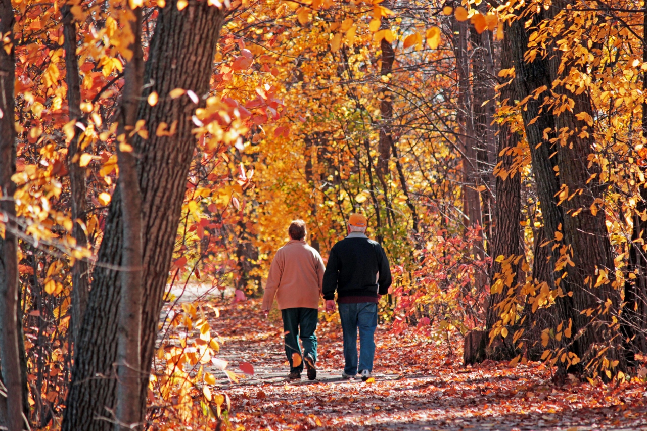 Autumn is a Season for Preparing - Lafayette Urban Ministry